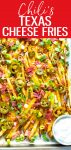 Chili's Texas Cheese Fries - The Girl on Bloor