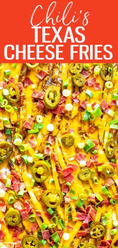 Chili's Texas Cheese Fries - The Girl on Bloor