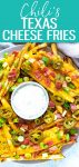 Chili's Texas Cheese Fries - The Girl on Bloor