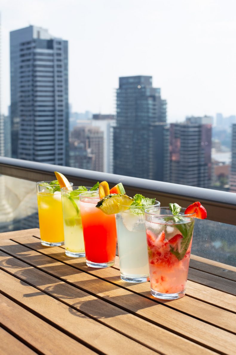 Best Summer Mocktail Recipes - The Girl on Bloor