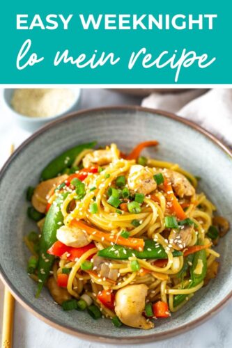 Easy Weeknight Lo Mein Recipe - The Girl on Bloor